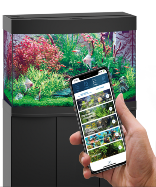 Juwel HeliaLux SmartControl Lighting Control System – The Pet & Tack Shop