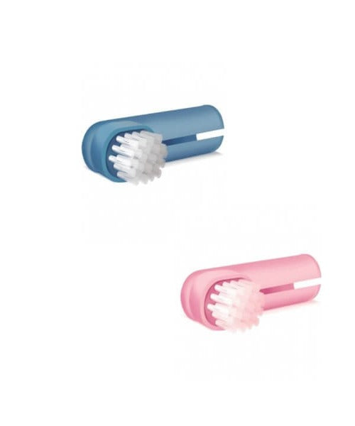 Oral Care for Dogs – The Pet & Tack Shop