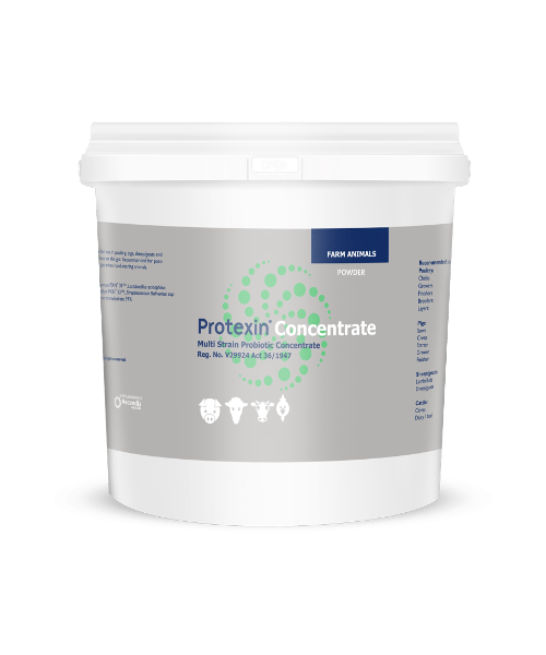 Kyron Protexin Concentrate Supplement for Farm Animals 1 Kg – The Pet ...