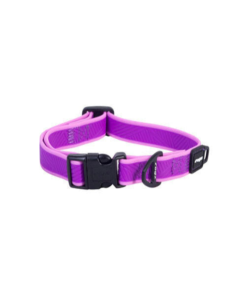 Rogz Amphibian Classic Collar For Dogs – The Pet & Tack Shop