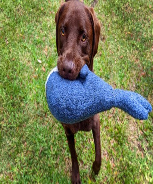 Rosewood Tufflove Whale Small Dog Toy – The Pet & Tack Shop