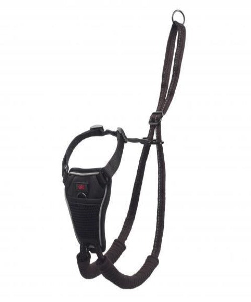 Dog Collars, Leads & Harnesses – The Pet & Tack Shop