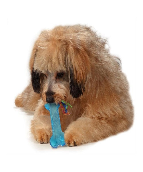 Petstages Orka Bone Mini Dog Toy – The Pet & Tack Shop