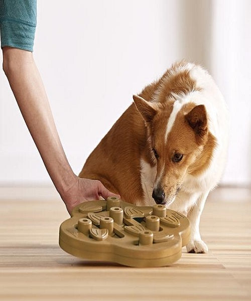 Nina Ottosson Dog Hide 'N Slide Composite Dog Toy – The Pet & Tack Shop