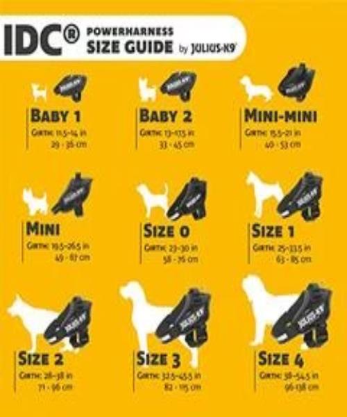 Julius K-9 & IDC Harness Black Small Mini – The Pet & Tack Shop
