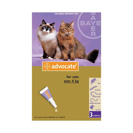 Advocate Spot On Cat Large (4kg+) 3x 0.8ml Purple – The Pet & Tack Shop