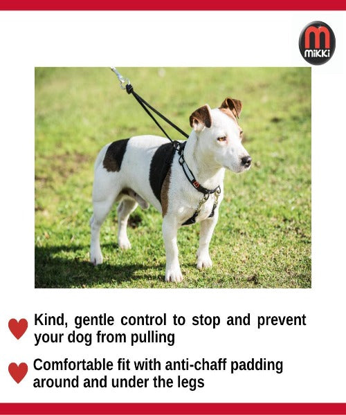 Mikki Anti-Pull Dog Harness – The Pet & Tack Shop
