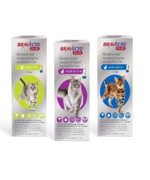 Bravecto – The Pet & Tack Shop
