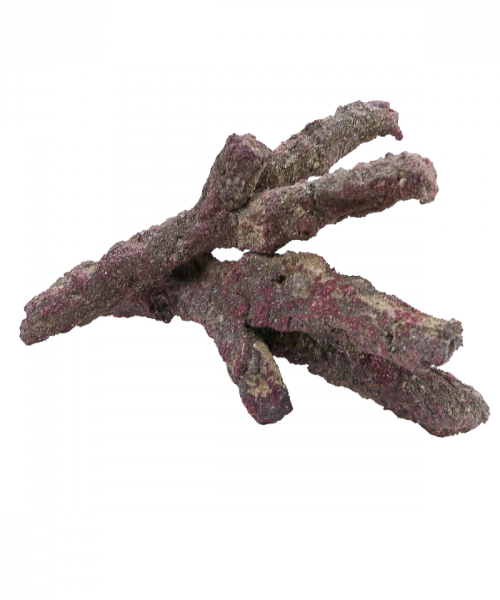 Caribsea LifeRock Branch for Aquariums 9kg – The Pet & Tack Shop