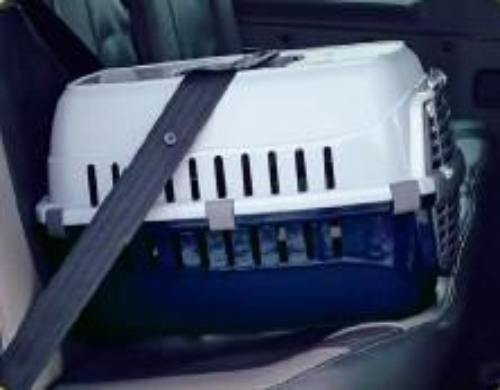 Cat Carriers – The Pet & Tack Shop