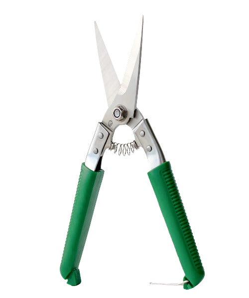 Footrot Sheep Hoof Cutter Green Handle – The Pet & Tack Shop