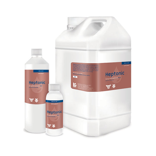 KYRON HEPTONIC ENERGY RICH NUTRITIONAL TONIC – The Pet & Tack Shop