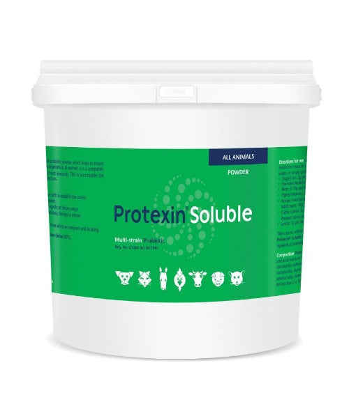 KYRON PROTEXIN SOLUBLE - PROBIOTIC POWDER – The Pet & Tack Shop