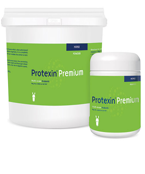 Kyron Protexin Premium Supplement for Horses – The Pet & Tack Shop