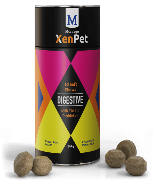 Montego XenPet Digestive Soft Chews Dog Supplements 240g – The Pet ...