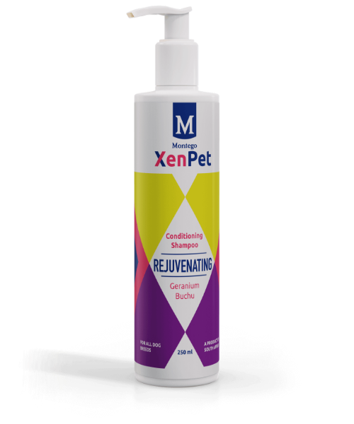 Montego XenPet Rejuvenating Geranium & Buchu Dog Shampoo 250 ml – The ...
