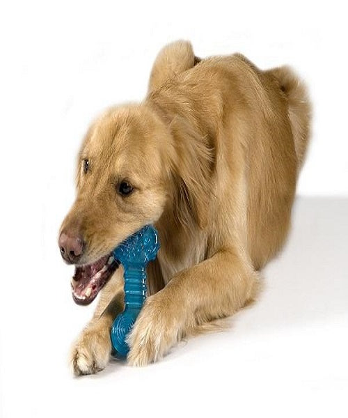 Petstages ORKA Bone Dog Toy – The Pet & Tack Shop