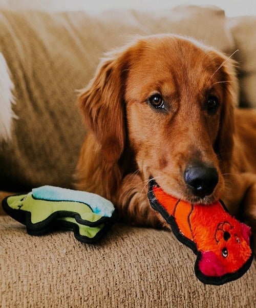 Outward Hound Durablez Mini Hedgehog Dog Toy – The Pet & Tack Shop