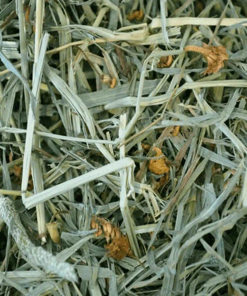 Oxbow Botanical Small Hay (with chamomile, lavender, lemon balm and cl ...