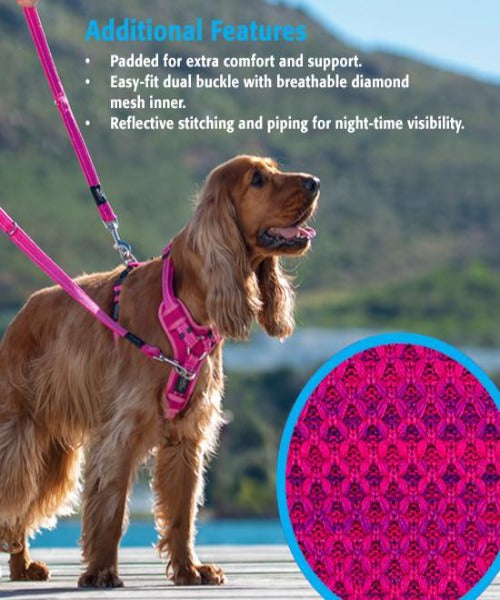 Rogz Control Harness For Dogs – The Pet & Tack Shop