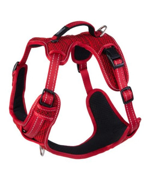 Rogz Explore Harness For Dogs – The Pet & Tack Shop